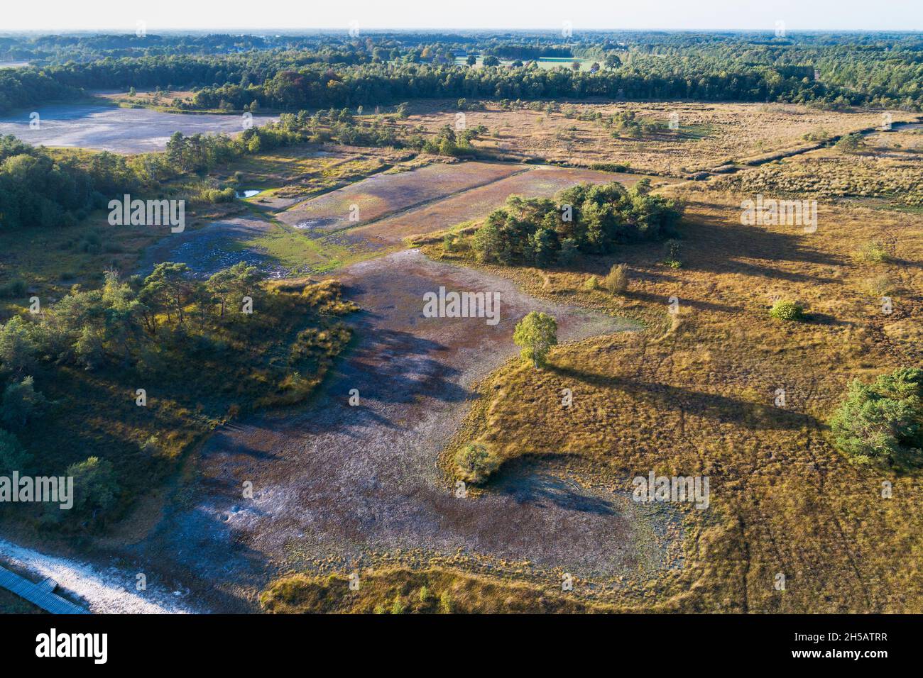 Dried-out lakes Steenhaarplassen in the nature reserve Buurserzand ...