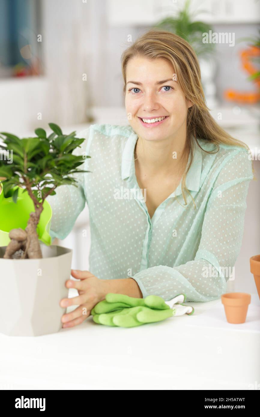 Person tending to bonsai hi-res stock photography and images - Alamy