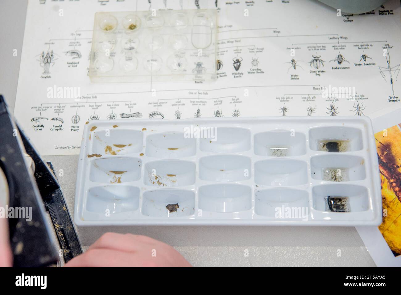 Experiment materials hi-res stock photography and images - Alamy