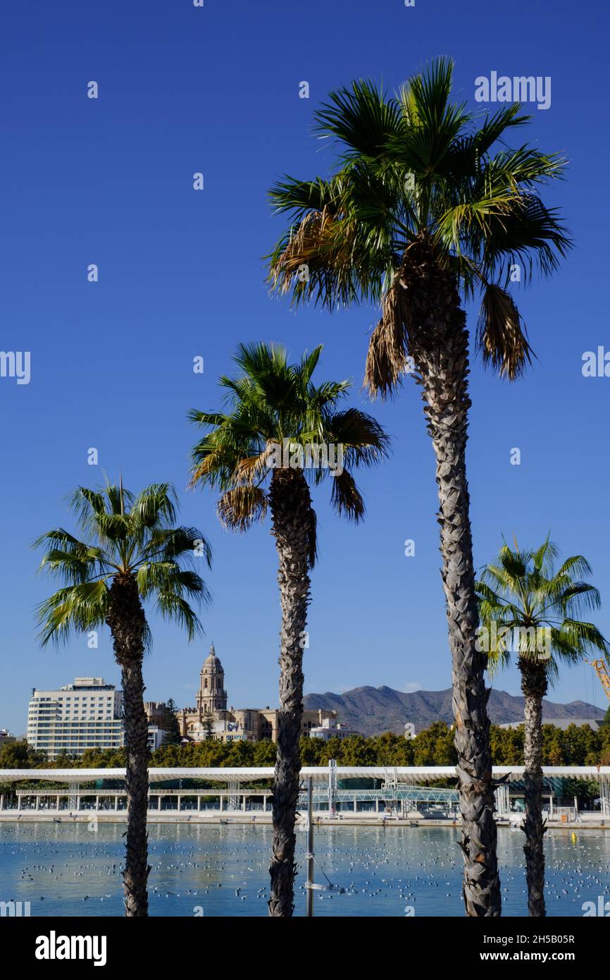El muelle uno hi-res stock photography and images - Alamy