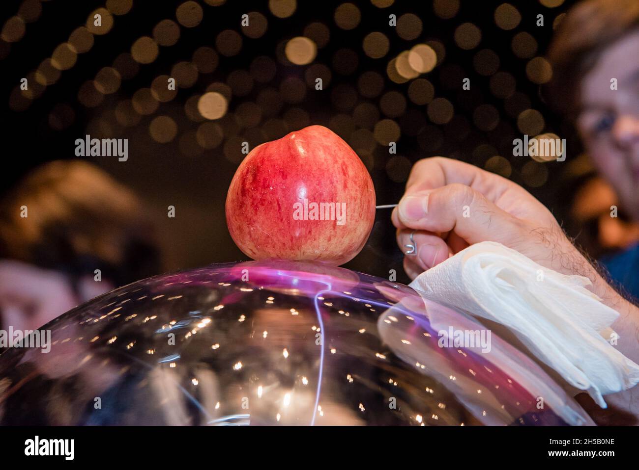 Experiment with fruit hi-res stock photography and images - Alamy