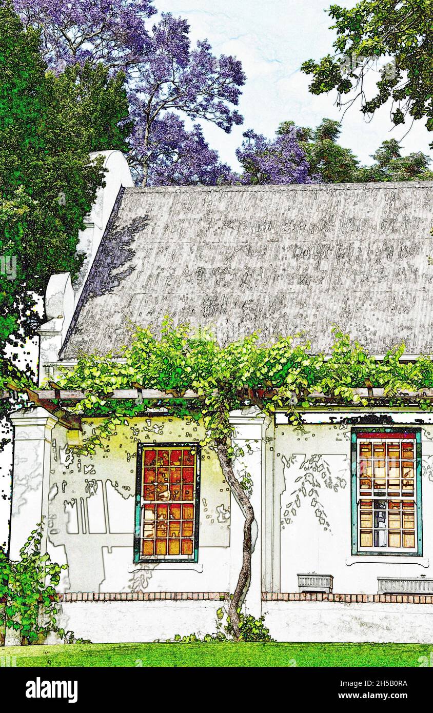 Close up of an old Cape Dutch Farm House with wild Wine growing on it ...