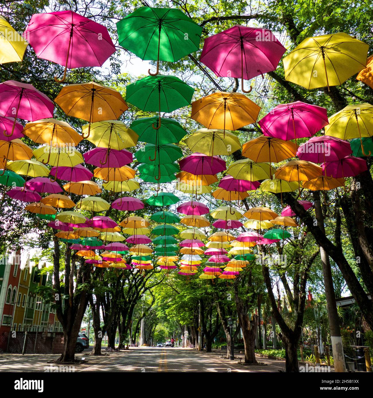 Holambra hi-res stock photography and images - Alamy