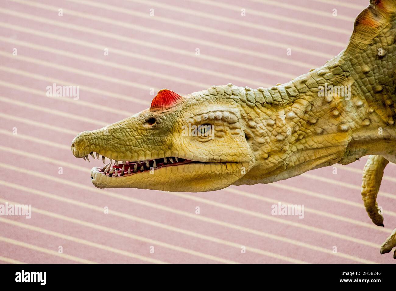 Close up of dinosaur head Stock Photo - Alamy