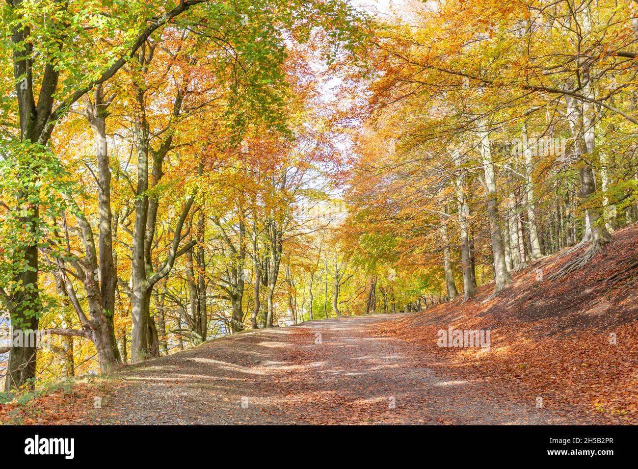 Autumn view of path along Derwent Reservoir, Peak District, UK Stock ...