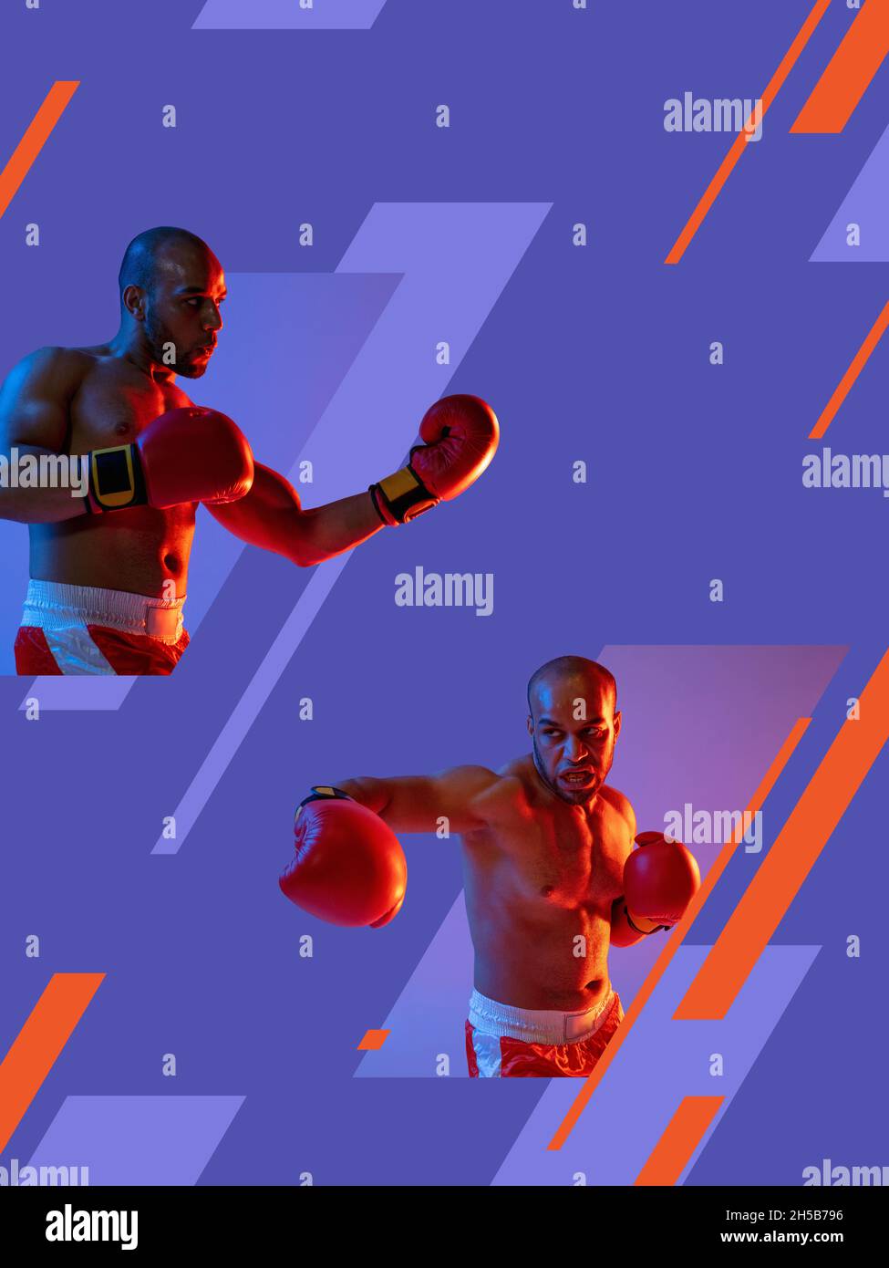 Boxer layout hi-res stock photography and images - Alamy