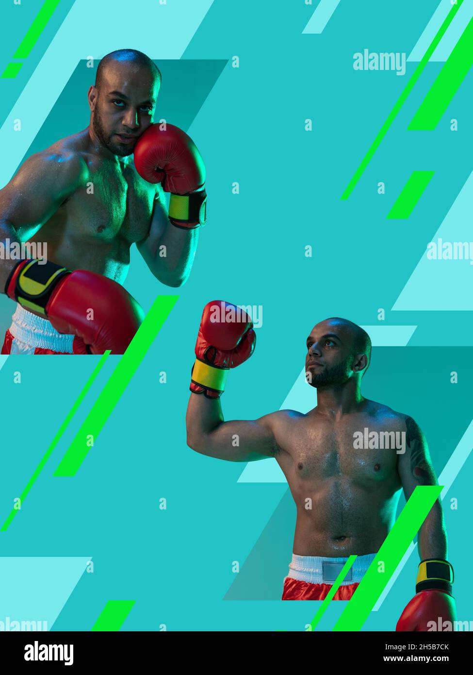 Boxer layout hi-res stock photography and images - Alamy