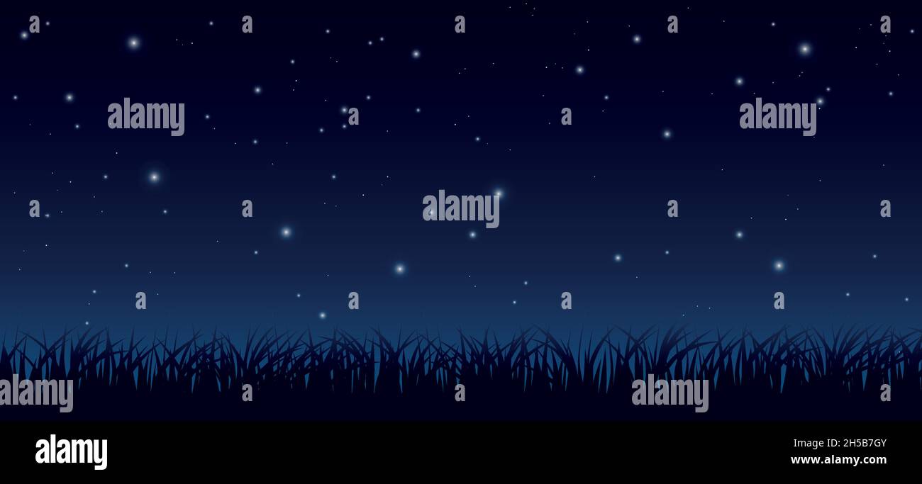 Blue dark night sky with lot of shiny stars and grass ground silhoutte ...