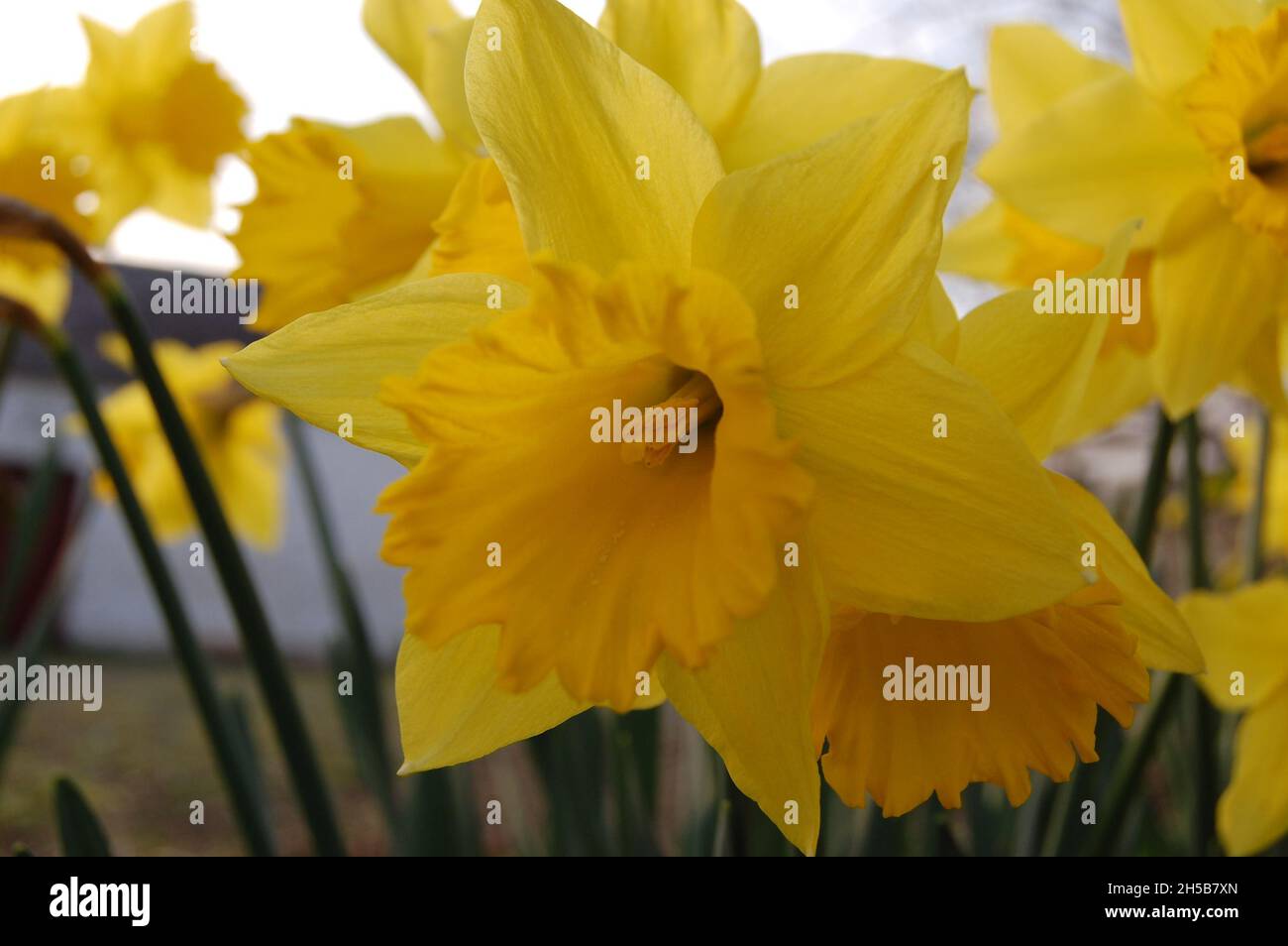 Mid and west wales hi-res stock photography and images - Alamy