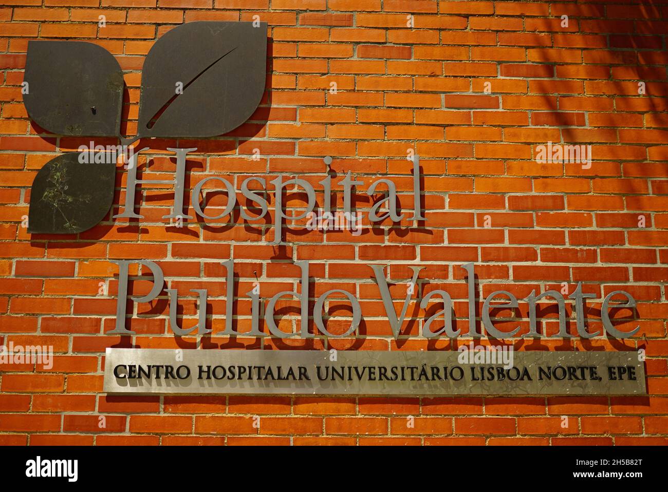 Hospital pulido valente hi-res stock photography and images - Alamy