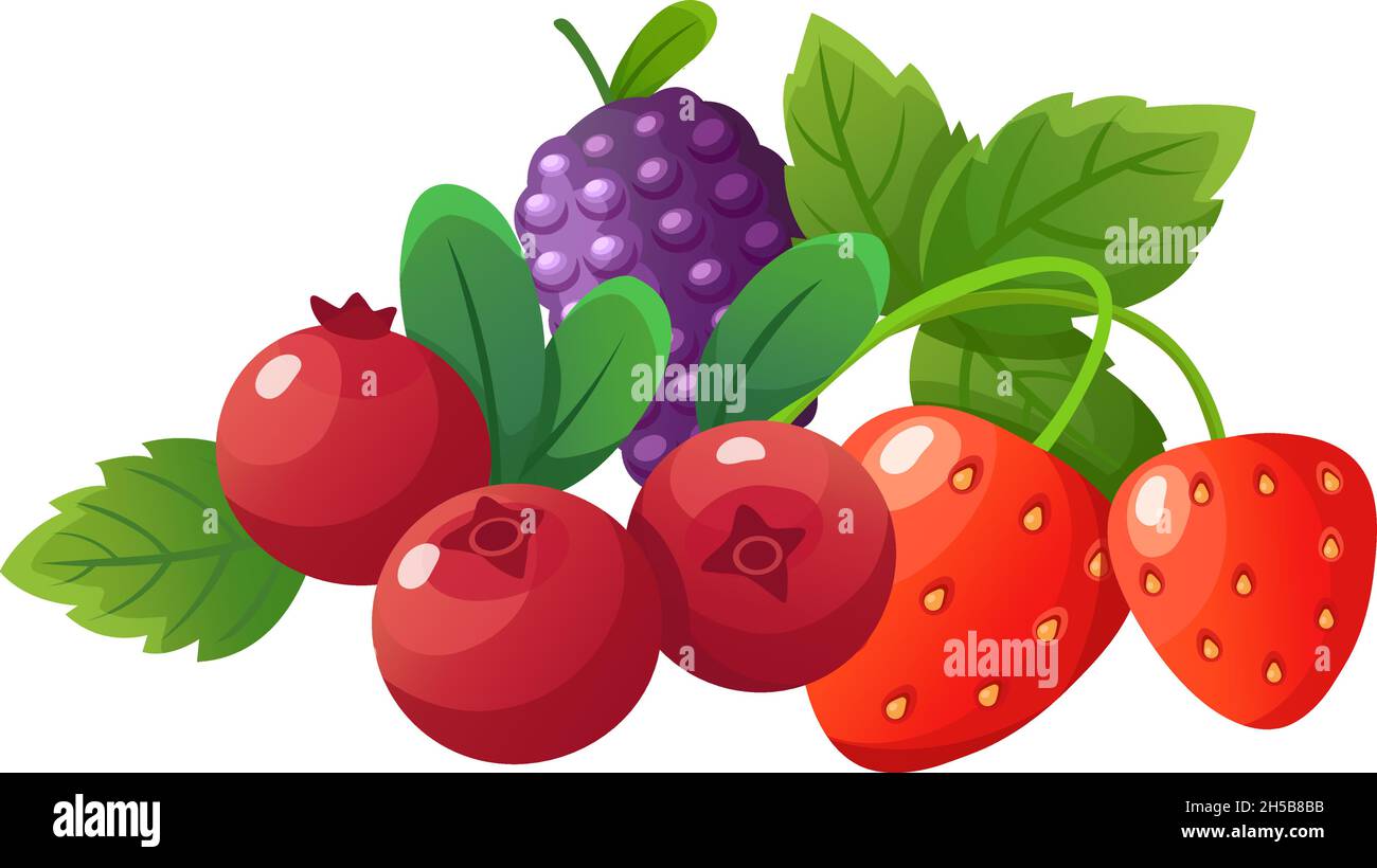 Cartoon berries. Fresh berry, isolated strawberry cranberry blackberry ...