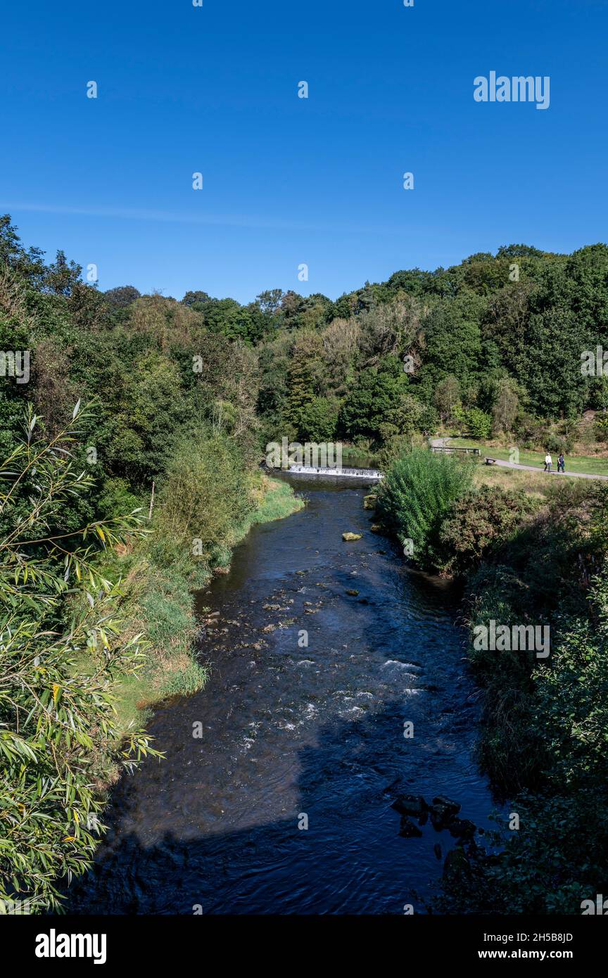 Derwent Walk country park, walking along the river Derwent Stock Photo ...