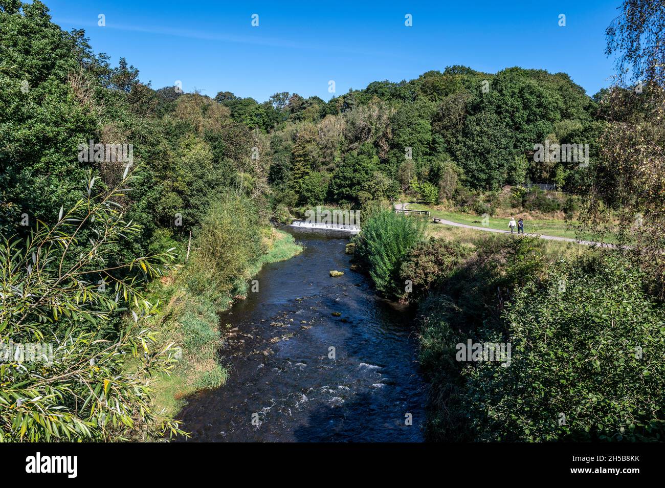 Derwent Walk country park, walking along the river Derwent Stock Photo ...