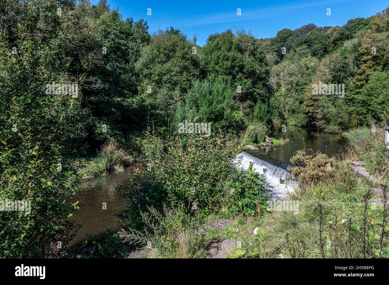 Derwent Walk country park, walking along the river Derwent Stock Photo ...