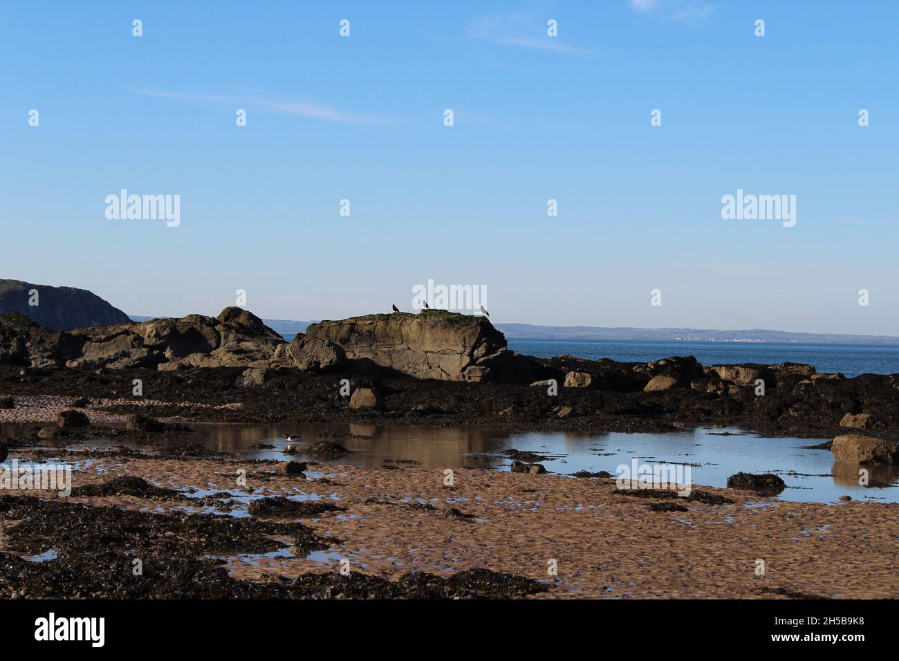 North Berwick Beach, 2019 Stock Photo - Alamy