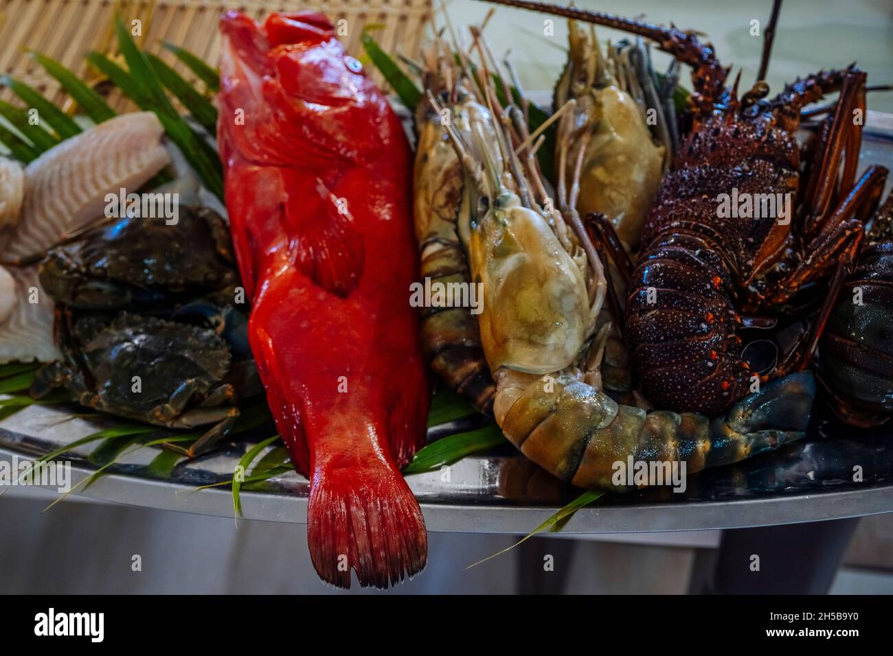 Assorted fresh raw ocean fishes and seafood on the restaurant for ...