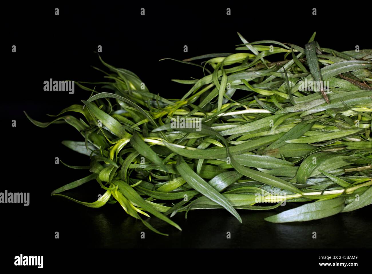 Estragon oil hi-res stock photography and images - Alamy