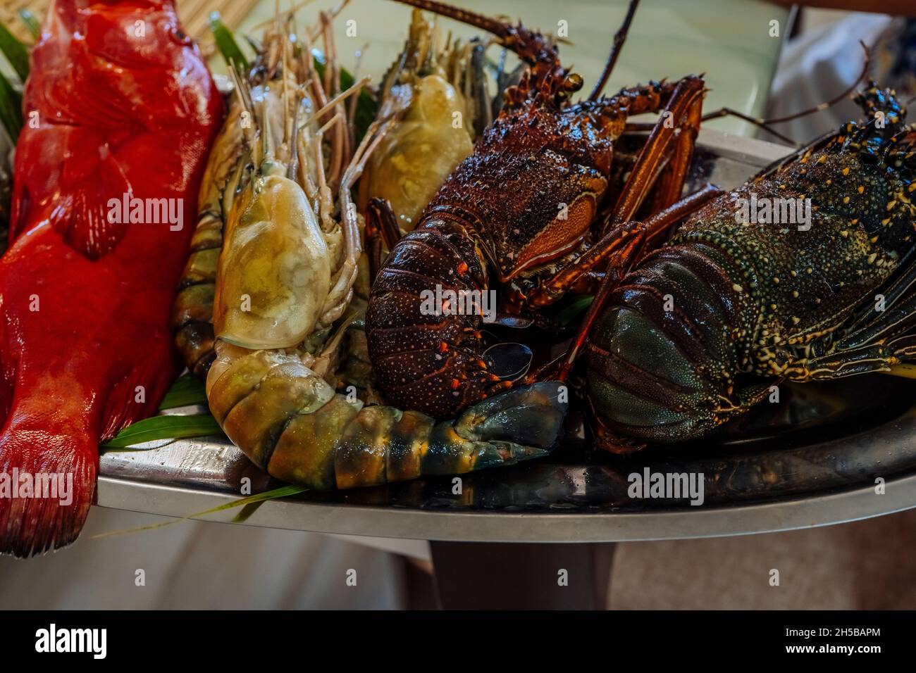 Assorted fresh raw ocean fishes and seafood on the restaurant for ...