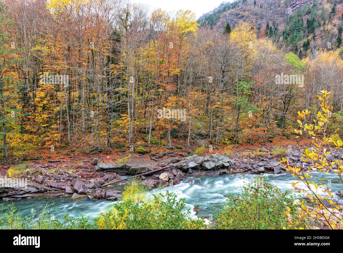 Lush river banks hi-res stock photography and images - Alamy