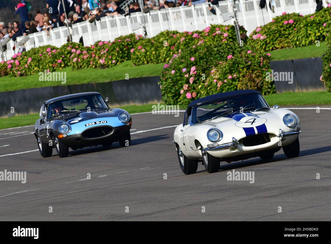 Gregor Fisken, Jaguar E-Type, Moss Trophy, Closed cockpit prototypes ...