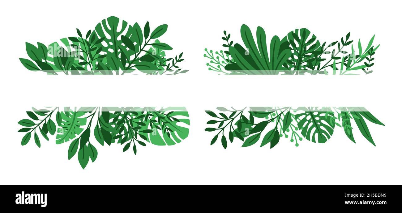 Tropical leaves banners. Green plants borders, exotic leaf decoration ...