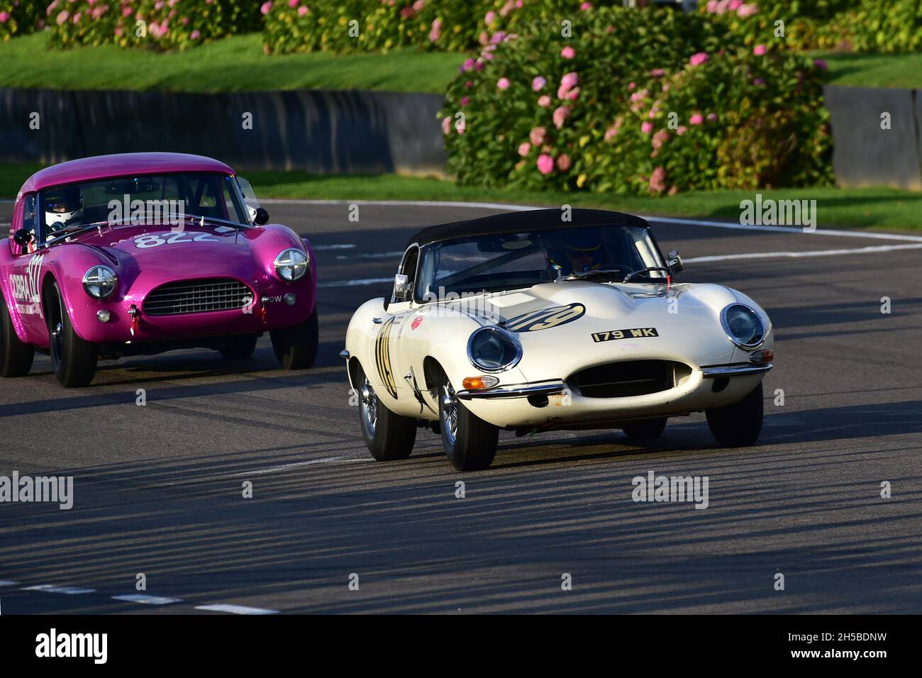 Nigel Greensall, Jaguar E-Type, Moss Trophy, Closed cockpit prototypes ...