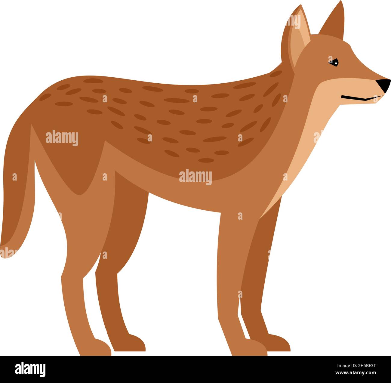 Are Dingo Aggressive