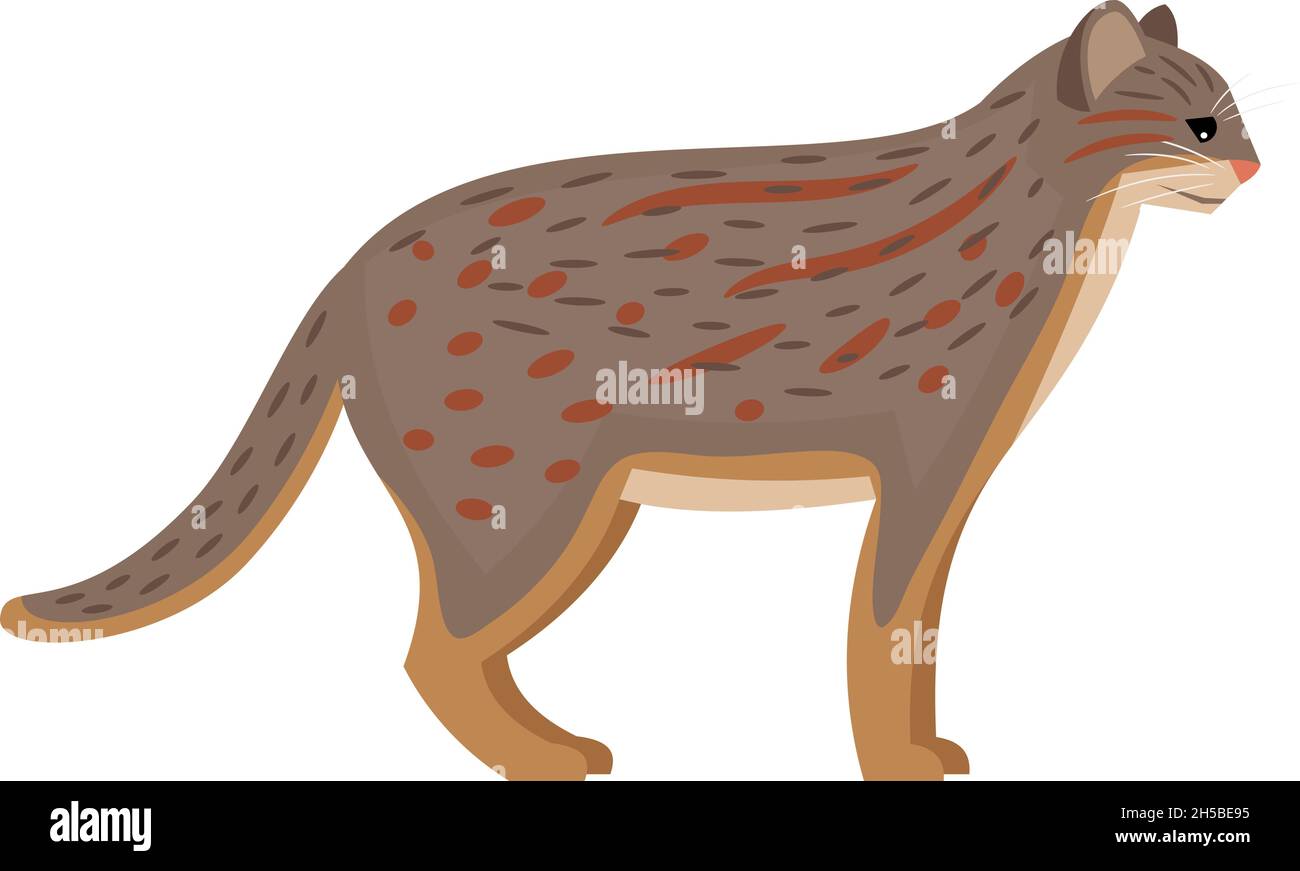 Rusty spotted cat Stock Vector Images - Alamy