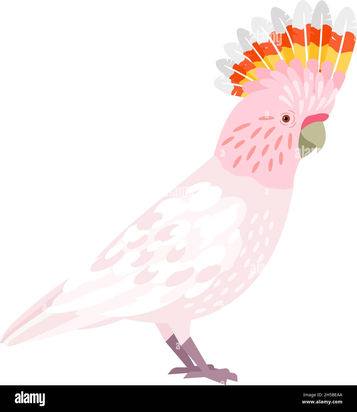 Beautiful cockatoo. Cartoon jungle parakeet with beak and feathers ...