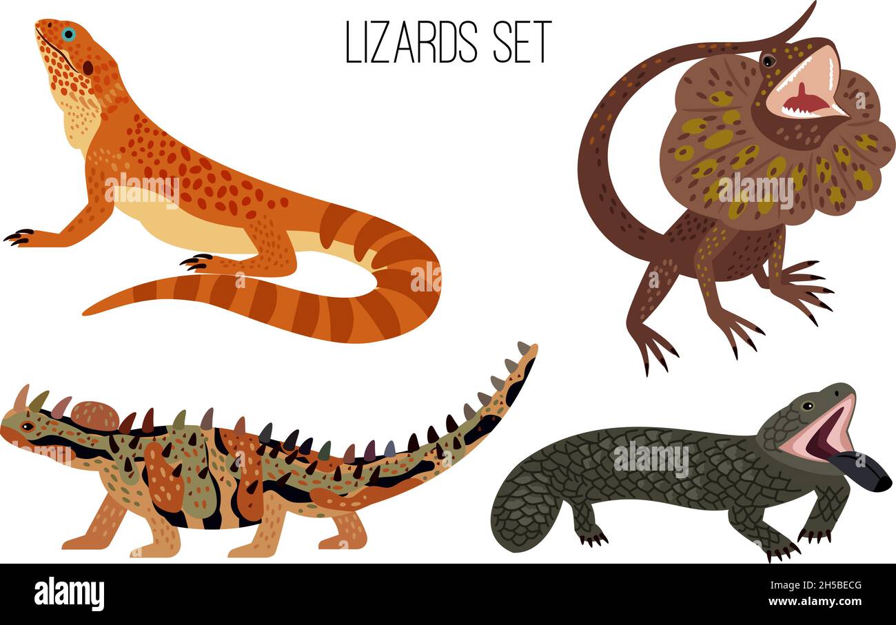 Colorful lizards. Cartoon crawling australian reptiles with tail ...