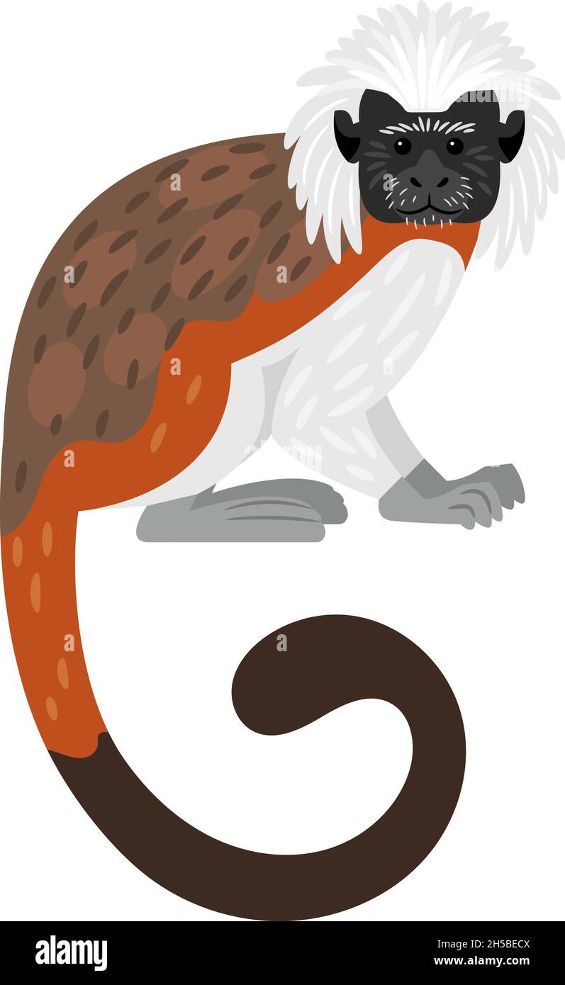 Tamarin monkey. Cartoon exotic primate, furry character of zoo with ...