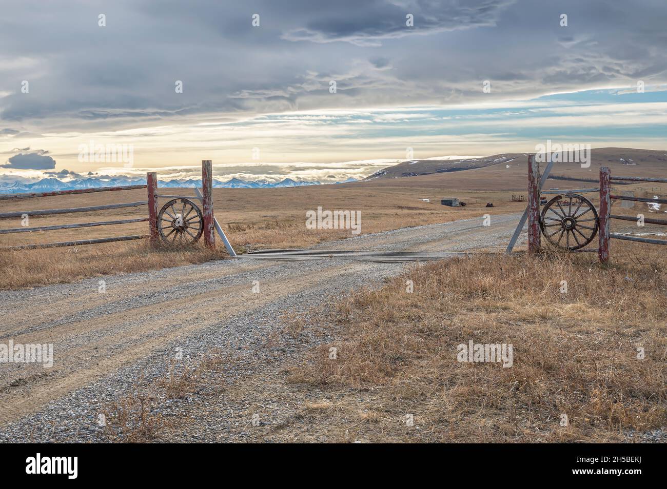 Texas gate hi-res stock photography and images - Alamy