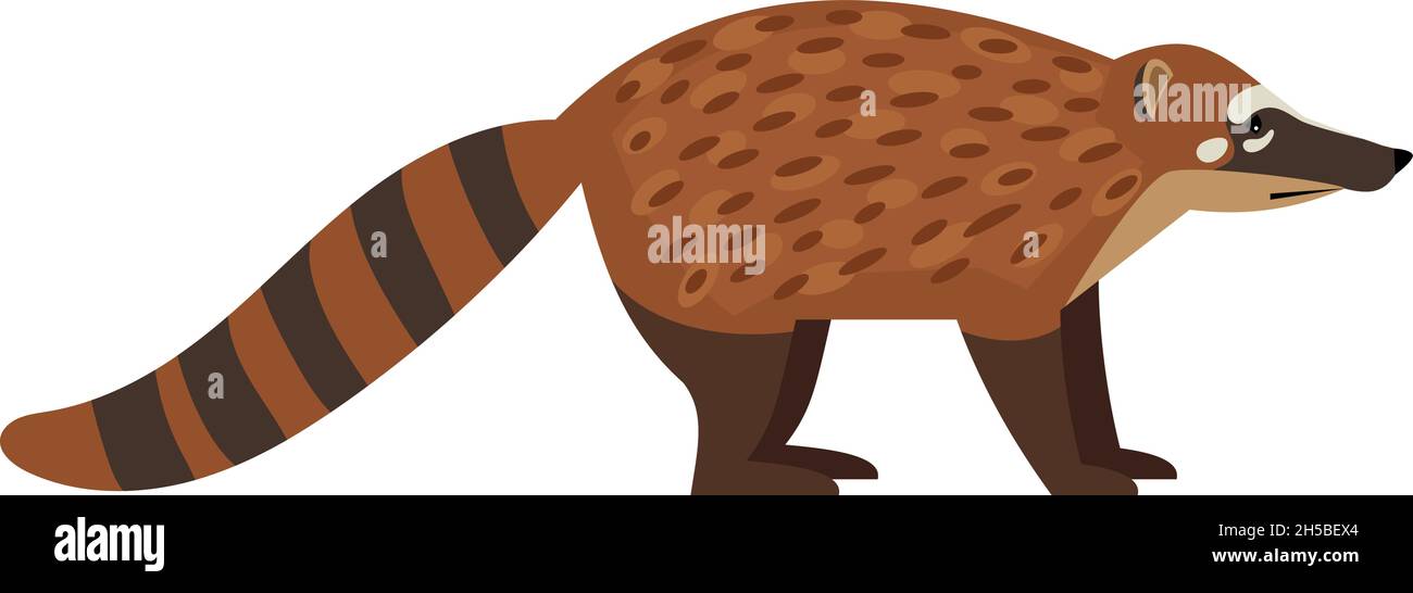 Nasua nasua south american coati Stock Vector Images - Alamy