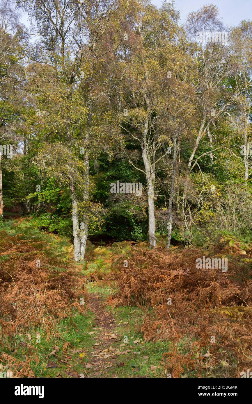 Knock hill scotland hi-res stock photography and images - Alamy