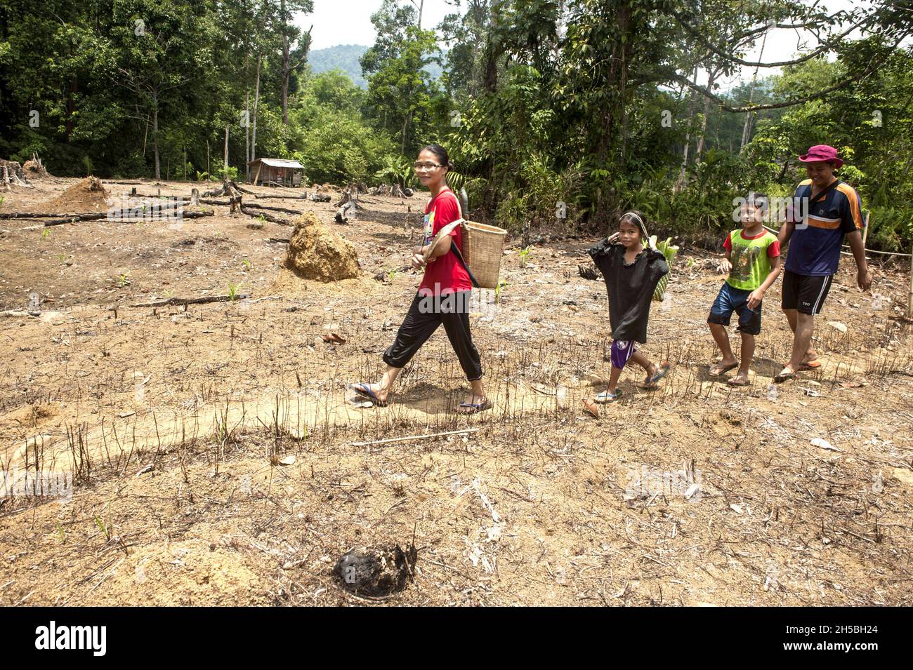 A Dayak family seen walked back to Mongkos village after farming at ...