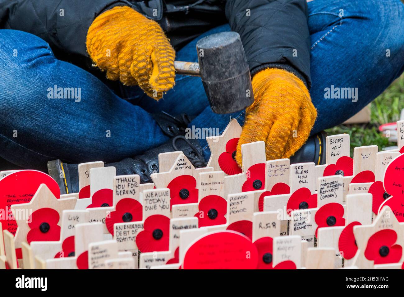 London, UK. 8th Nov, 2021. Crosses with poppies on are laid, by out ...