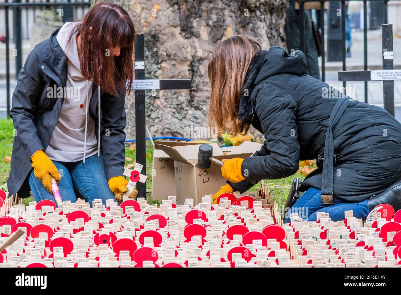 London, UK. 8th Nov, 2021. Crosses with poppies on are laid, by out ...