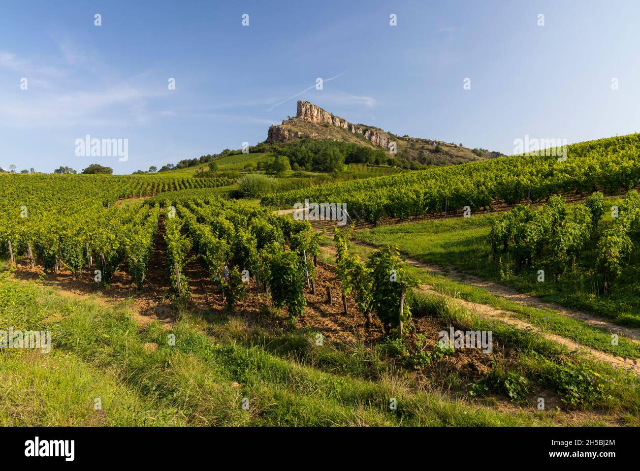 Rock of Solutre with vineyards, Burgundy, Solutre-Pouilly, France Stock ...