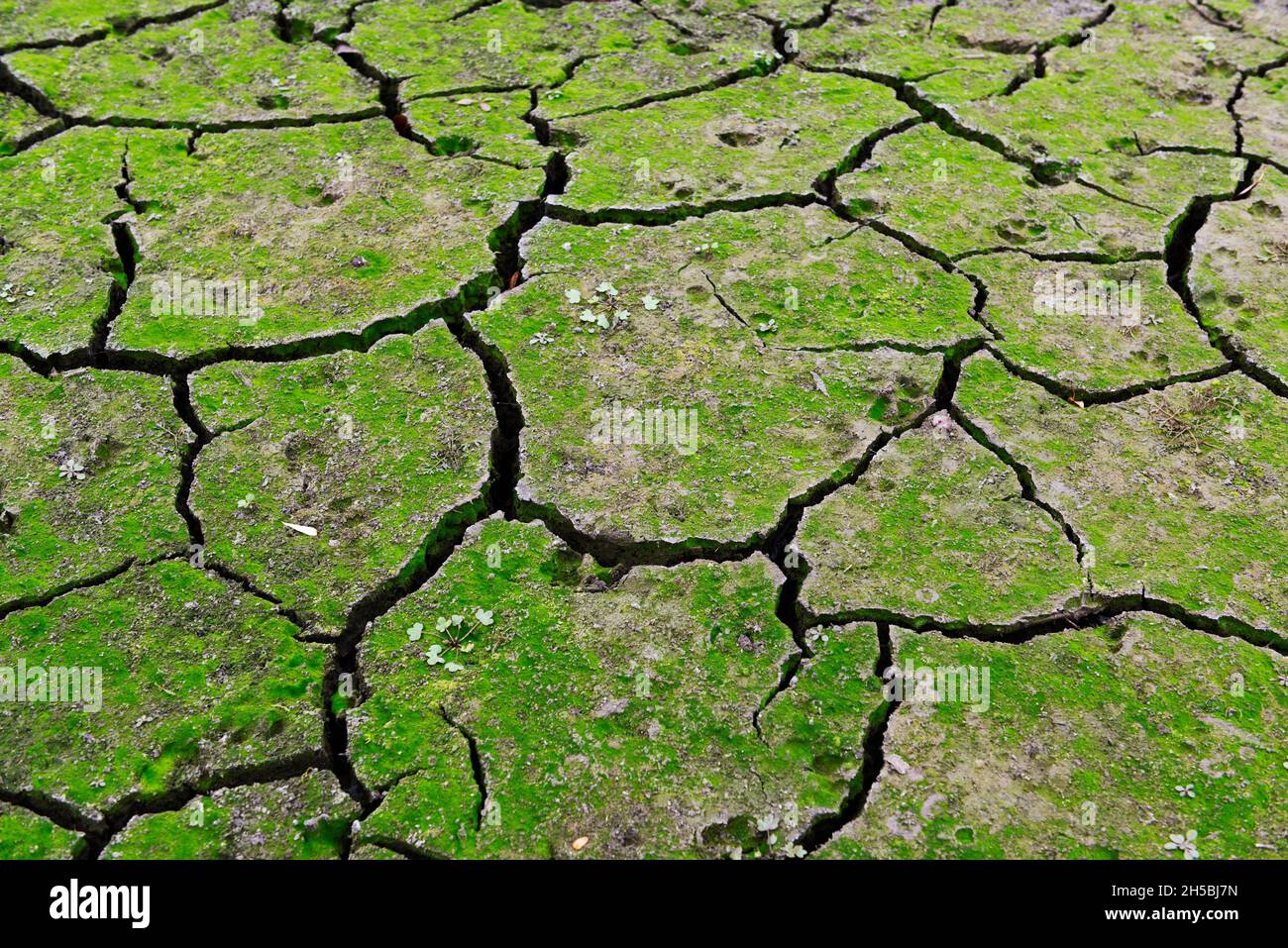 Earth without water hi-res stock photography and images - Alamy