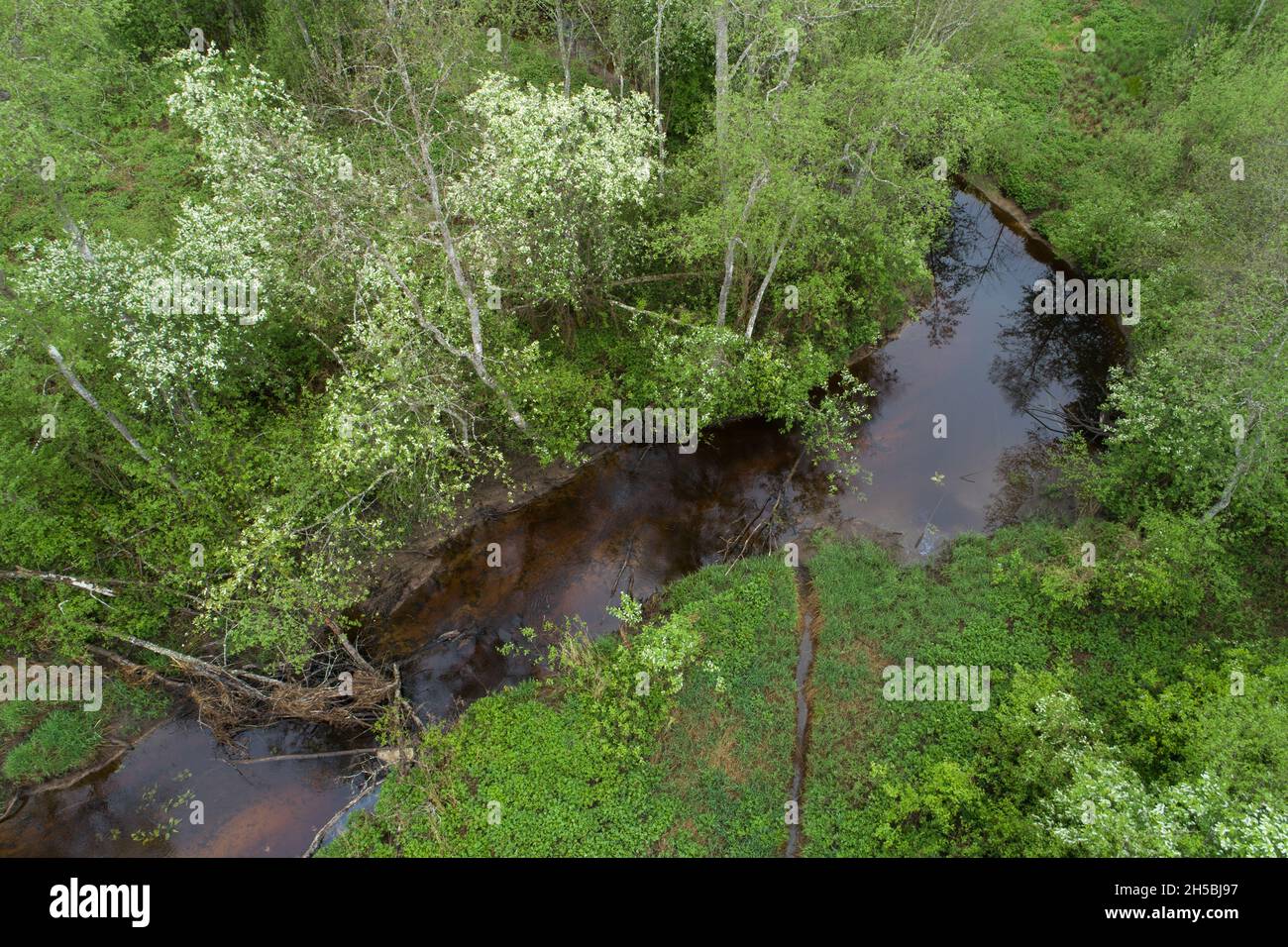 An aerial view of a small river meandering in the middle of green ...