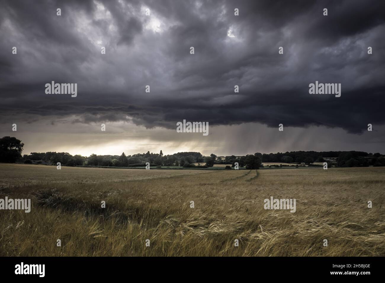 Storm over wheat field hi-res stock photography and images - Alamy