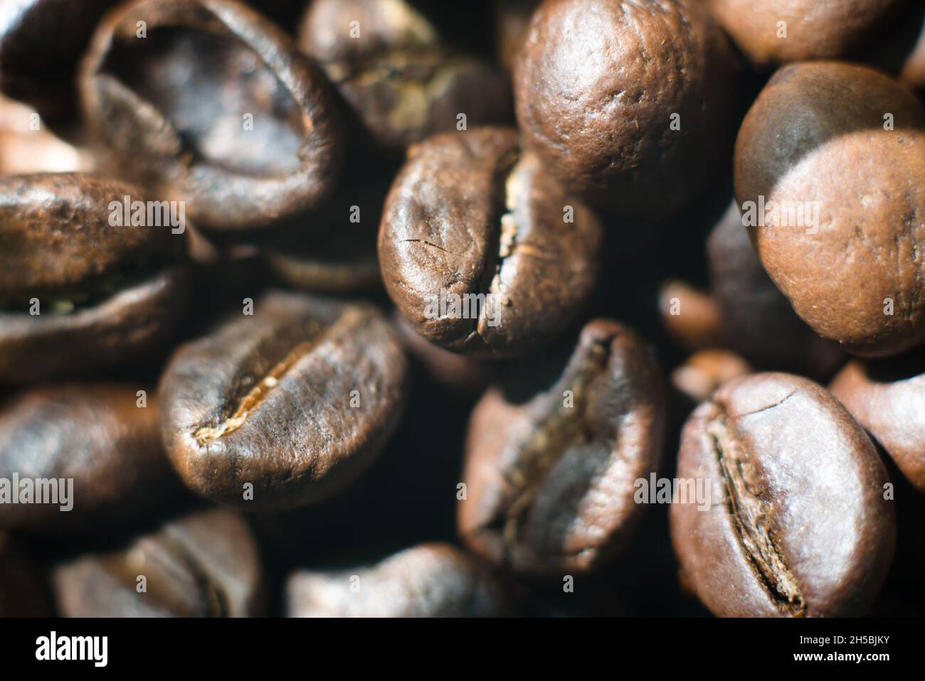Close-up photo of roasted coffee beans with natural lighting ...