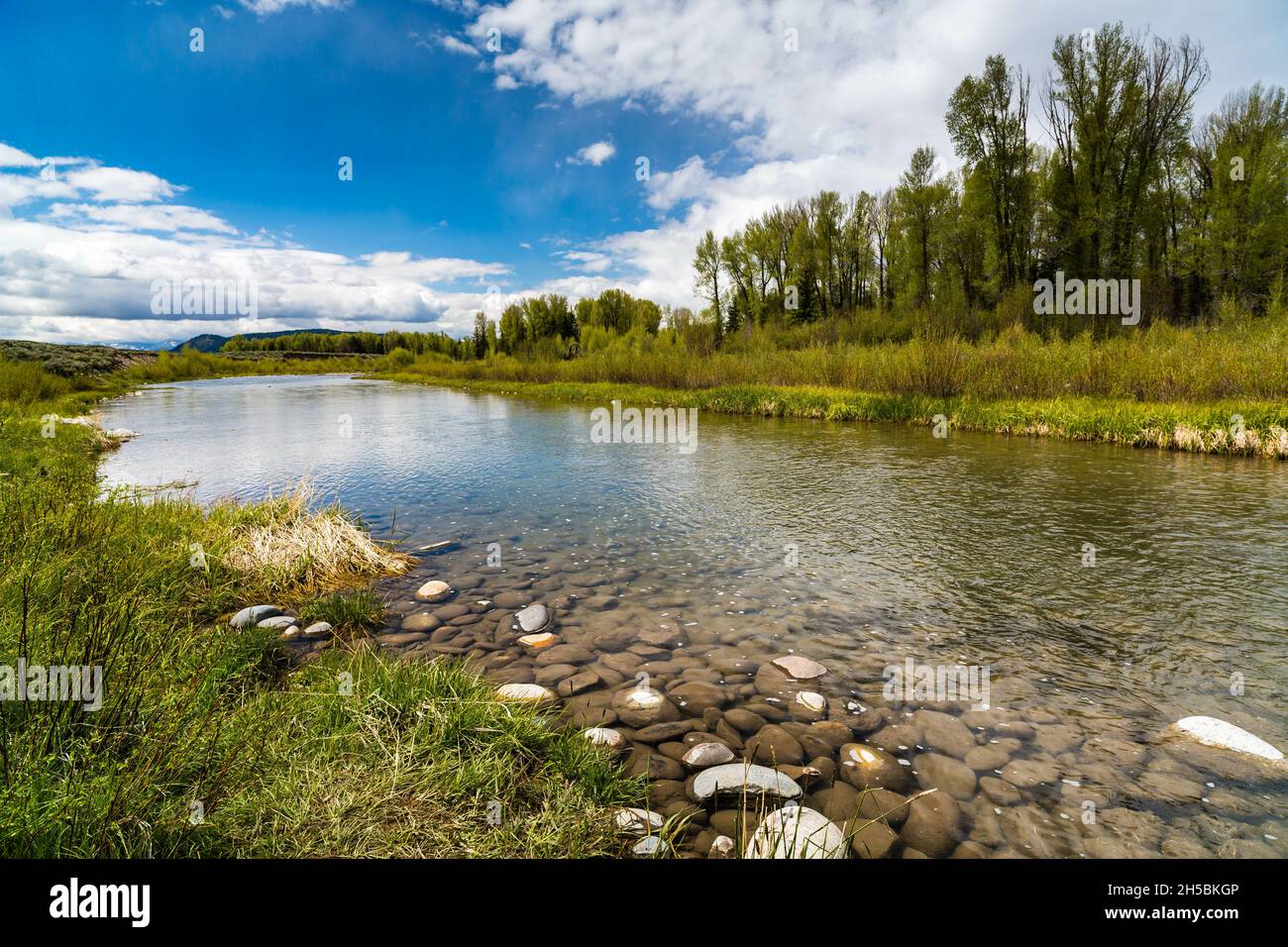 Snake river flowing through hi-res stock photography and images - Alamy