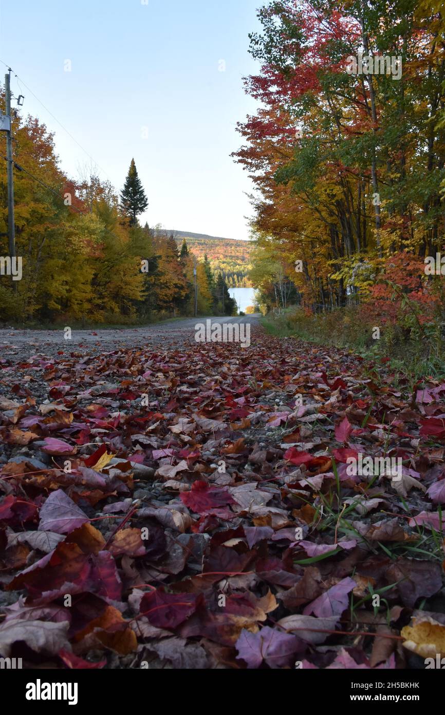 Lago arce hi-res stock photography and images - Alamy