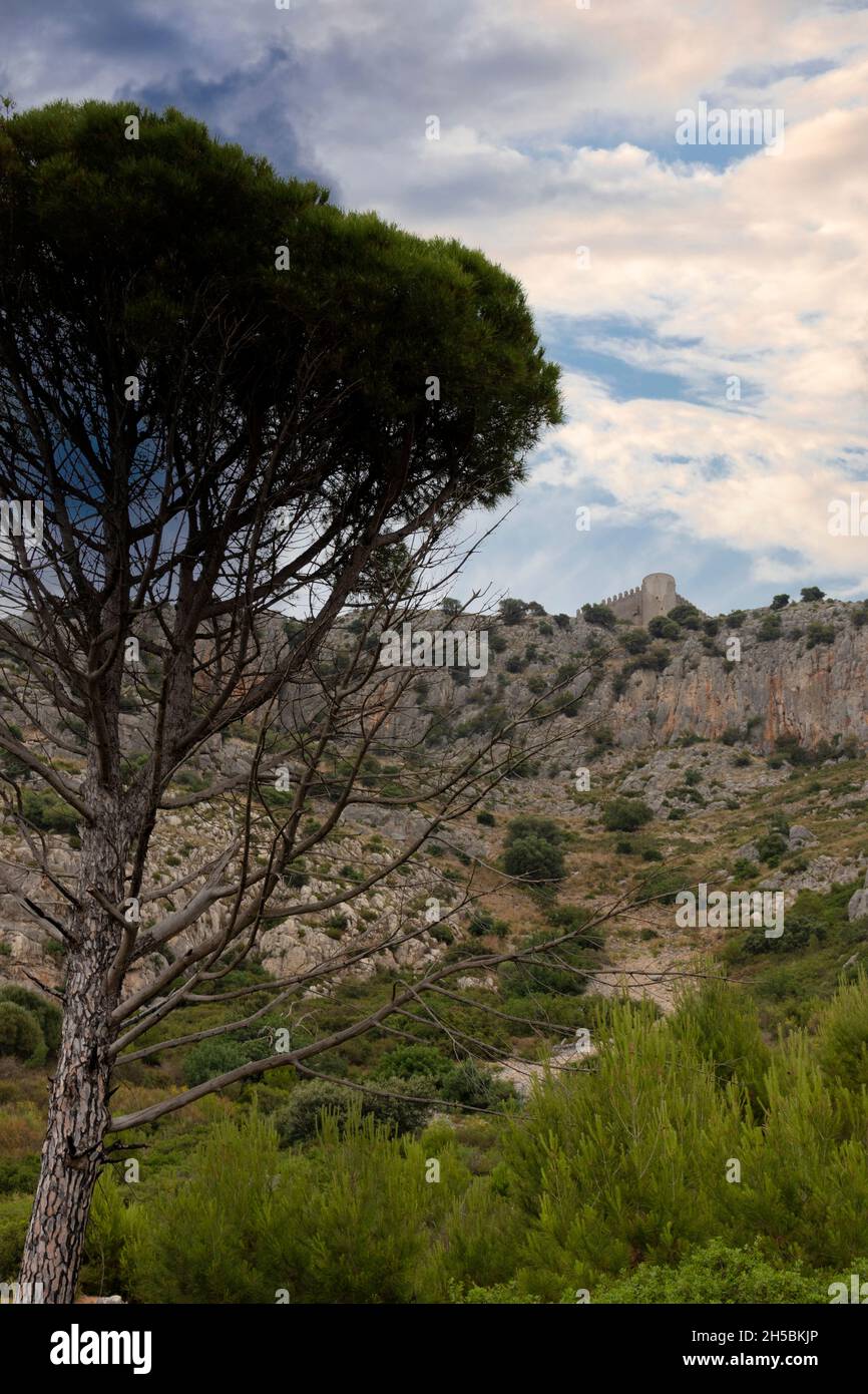 Torroella hi-res stock photography and images - Alamy