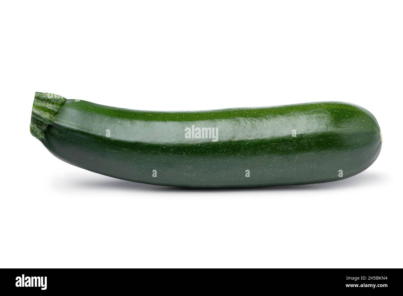Single fresh green whole zucchini isolated on white background Stock ...