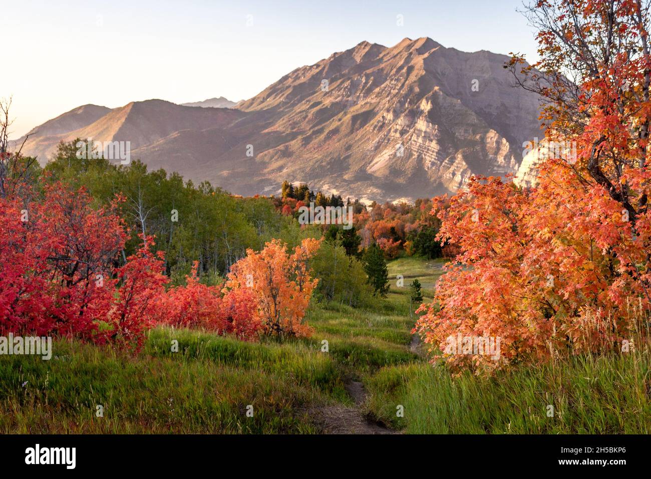 Squaw peak park hi-res stock photography and images - Alamy