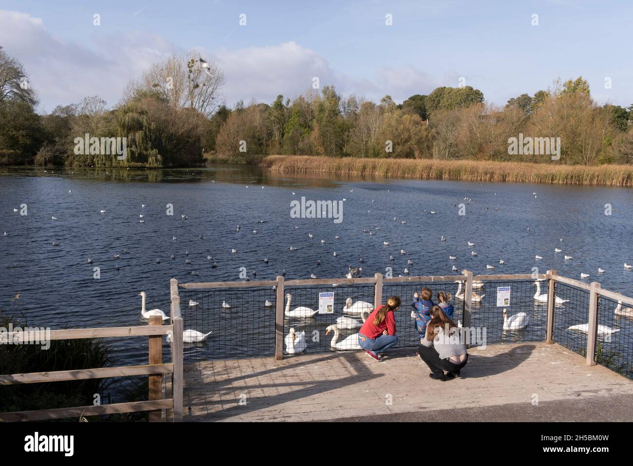 Nailsea and backwell hi-res stock photography and images - Alamy