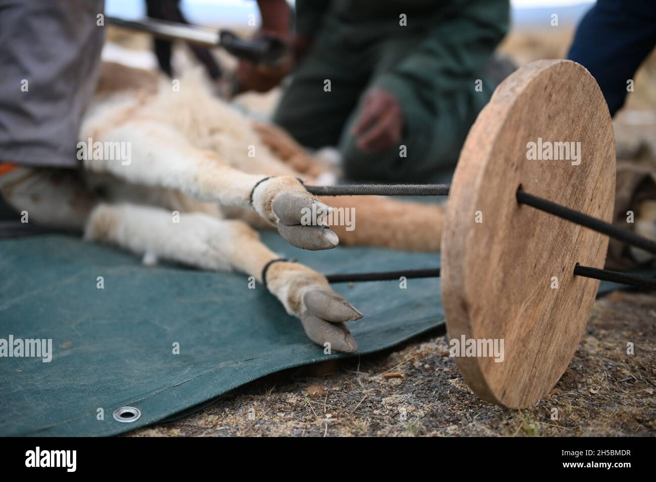 Callous sole hi-res stock photography and images - Alamy