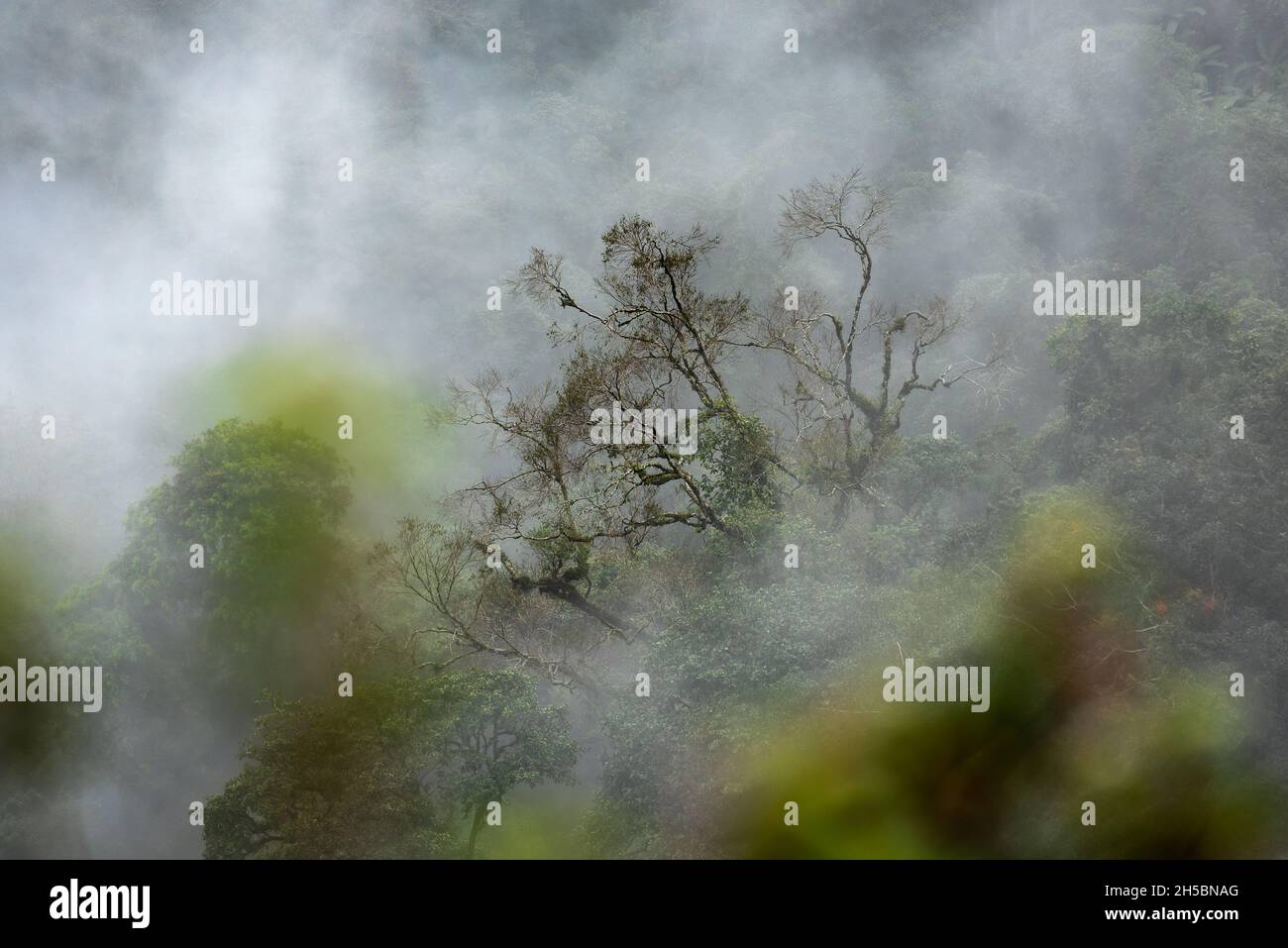 Aerial view railroad in colorful hi-res stock photography and images ...